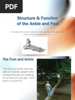 Foot and Ankle Anatomy Labeling Lab | PDF | Foot | Ankle