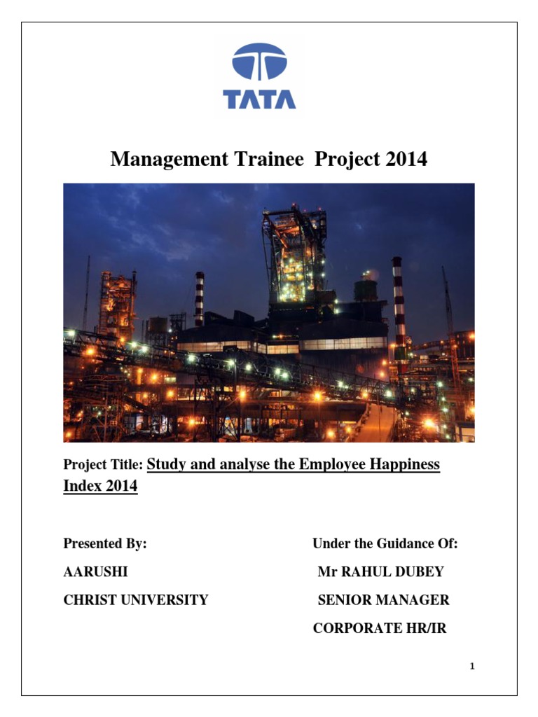 Management Trainee Project 2014 | PDF | Industries | Business