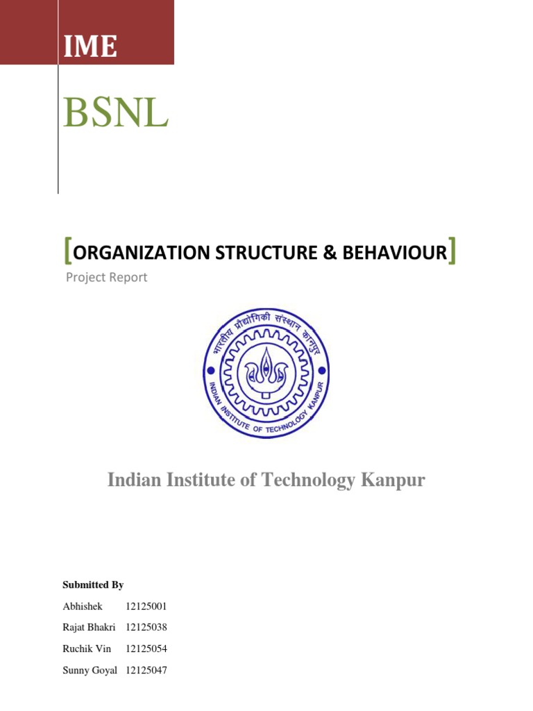 BSNL Project Organization Behaviour | PDF | Customer Relationship ...
