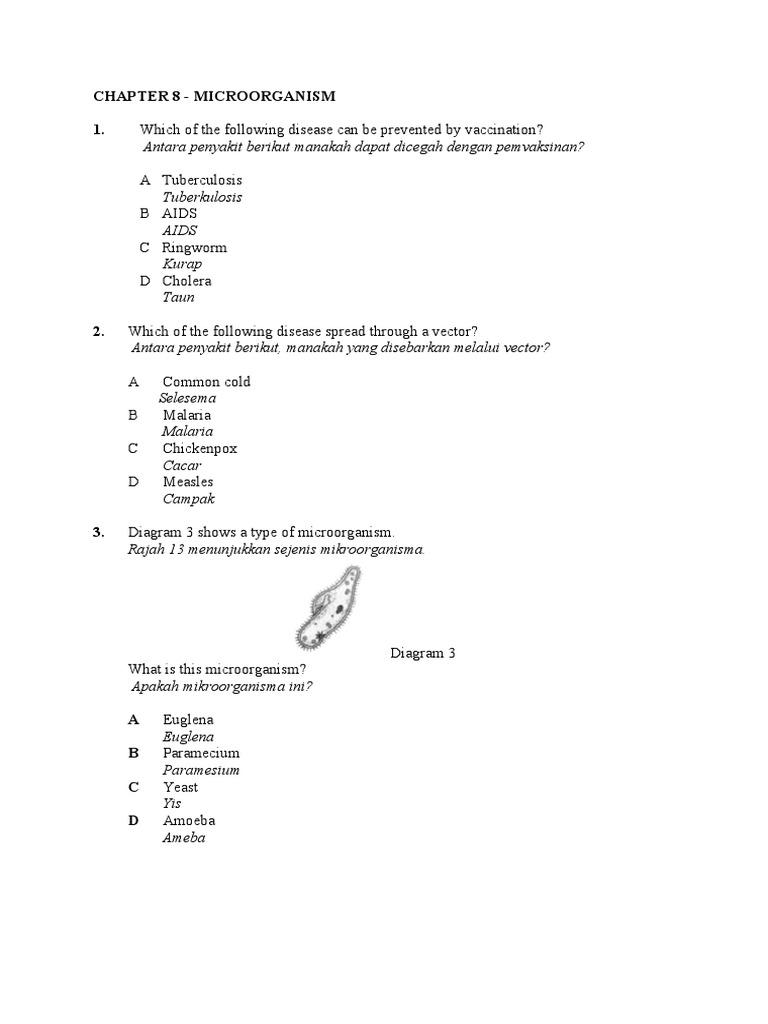 Science Paper Mac Test Form 5 | PDF | Growth Medium | Antibiotics