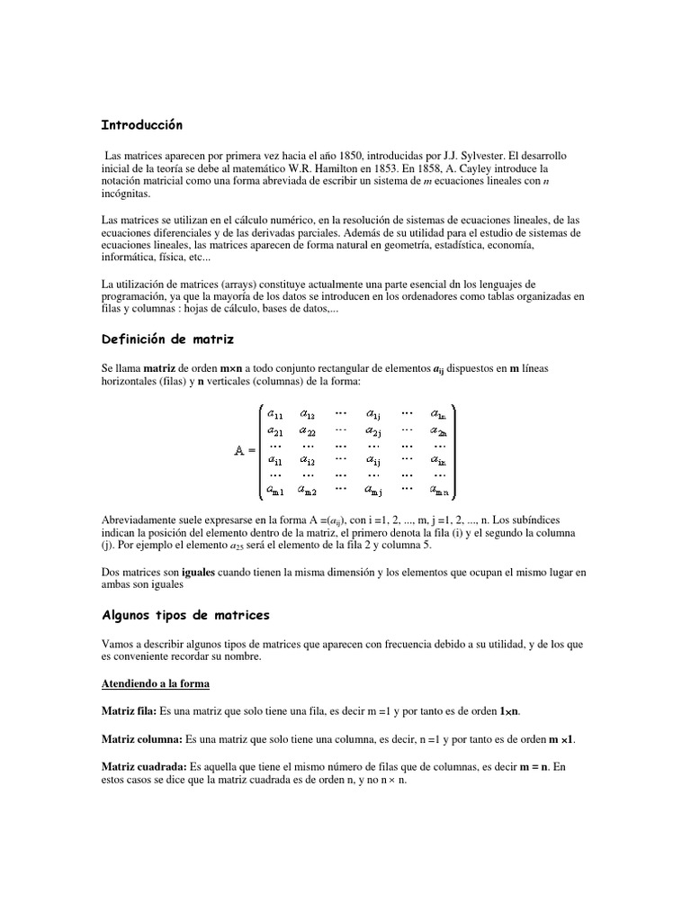 Definición y Tipos de Matrices | PDF