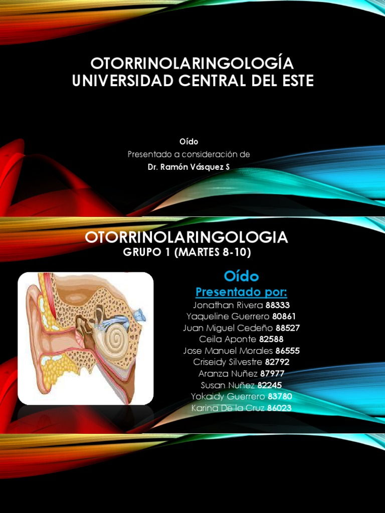 Otorrinolaringologia, OIDO | PDF | Anatomía humana | Cabeza y cuello ...
