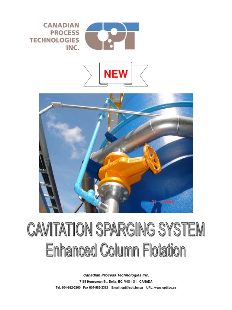 Column Flotation Systems With Cavitation Tube | PDF | Phases Of Matter ...
