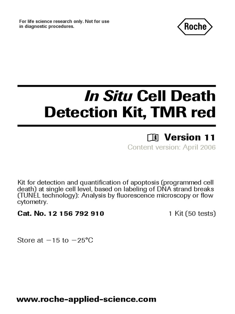 In Situ Cell Death Kit | PDF | Fixation (Histology) | Apoptosis