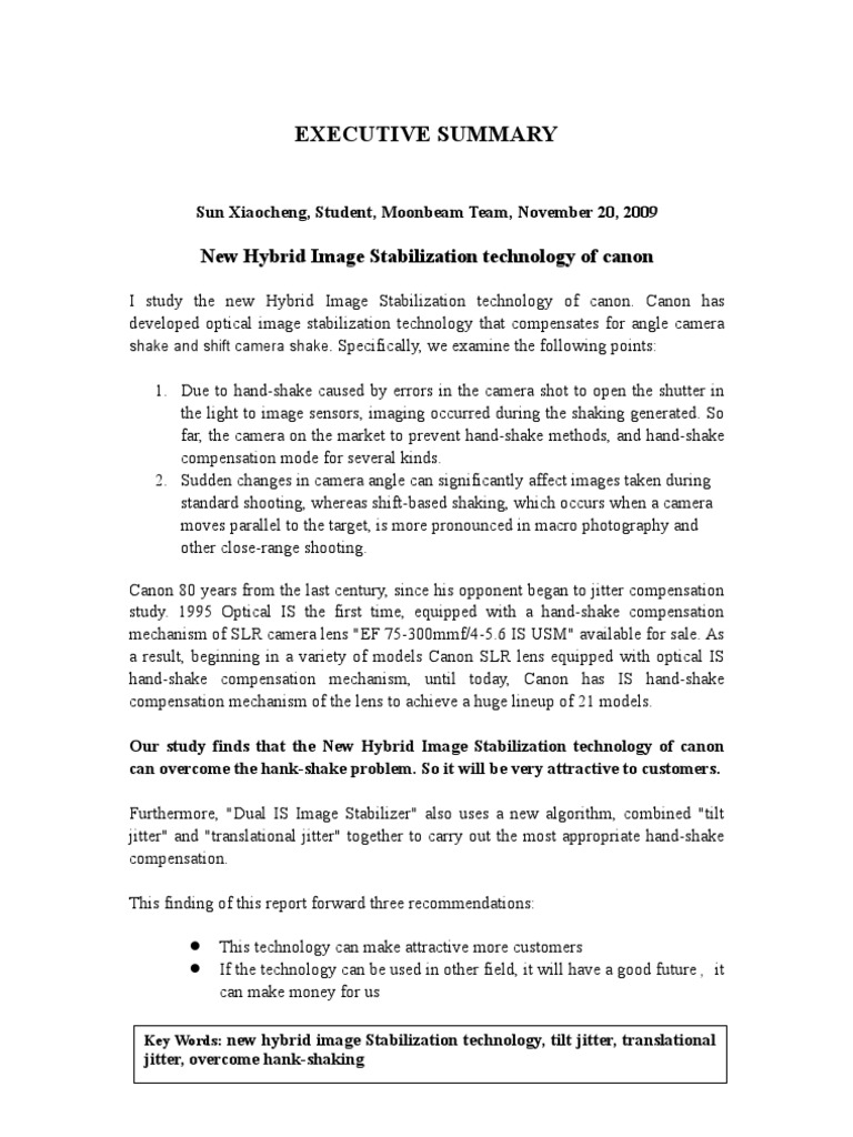 Executive Summary | PDF | Computers | Technology & Engineering