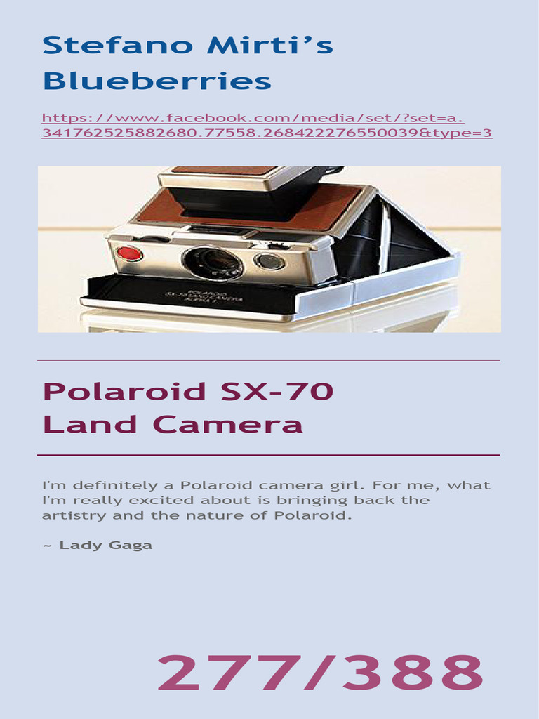Polaroid SX-70 Land Camera | PDF | Hobbies | Photography Equipment