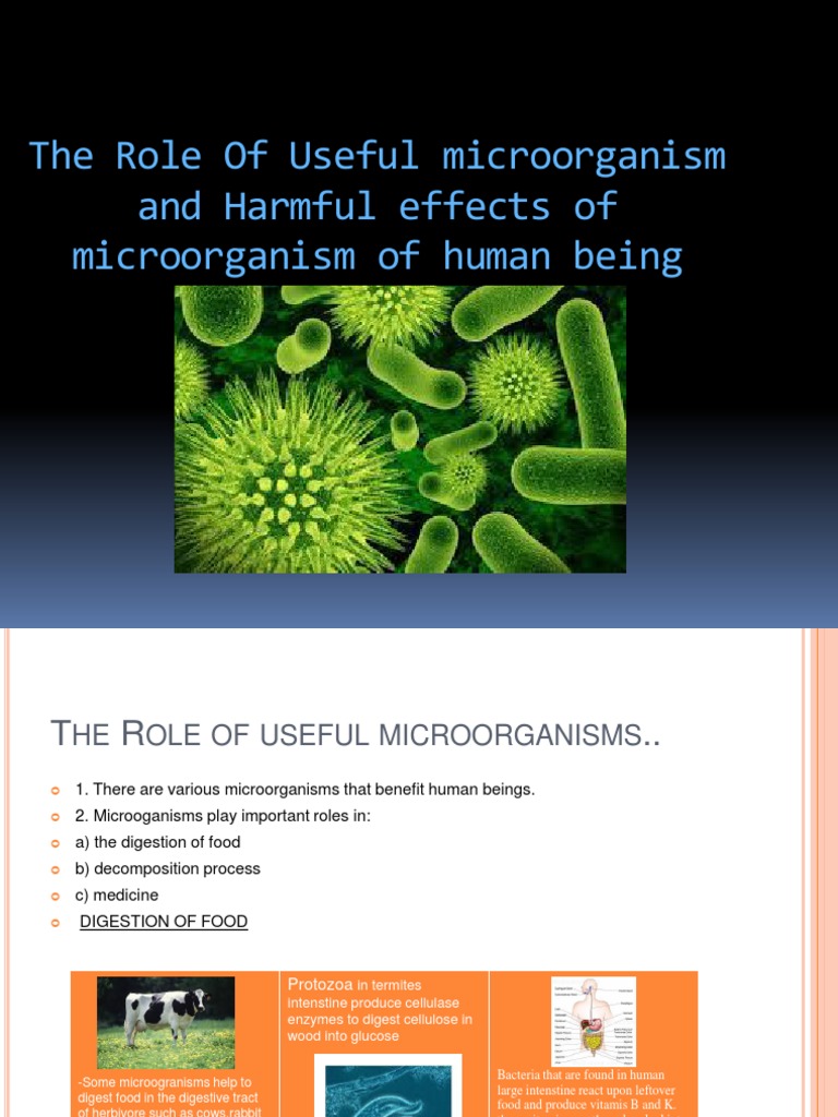 The Role of Useful Microorganism and Harmful Effects | PDF ...