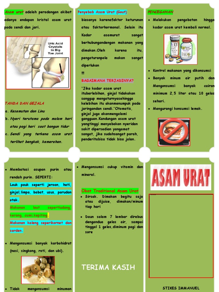 Leaflet Asam Urat | PDF