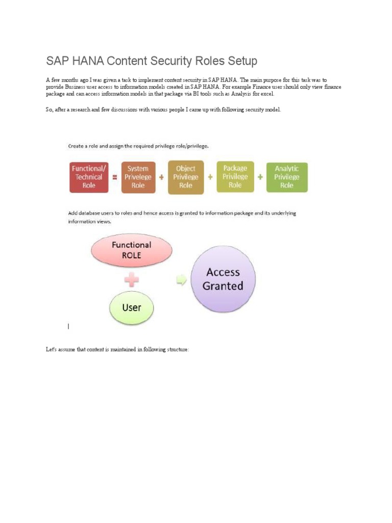 SAP HANA Content Security Roles Setup | PDF | Database Schema | Digital ...