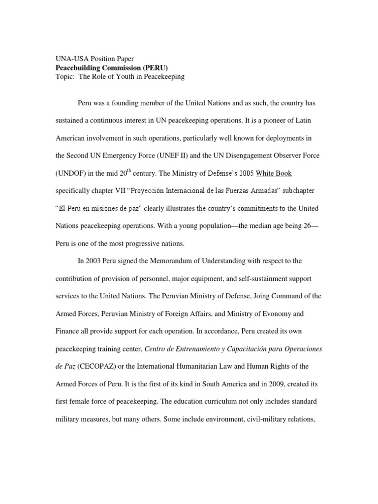UNA-USA Position Paper For Peacebuilding | PDF | Peacekeeping | United ...