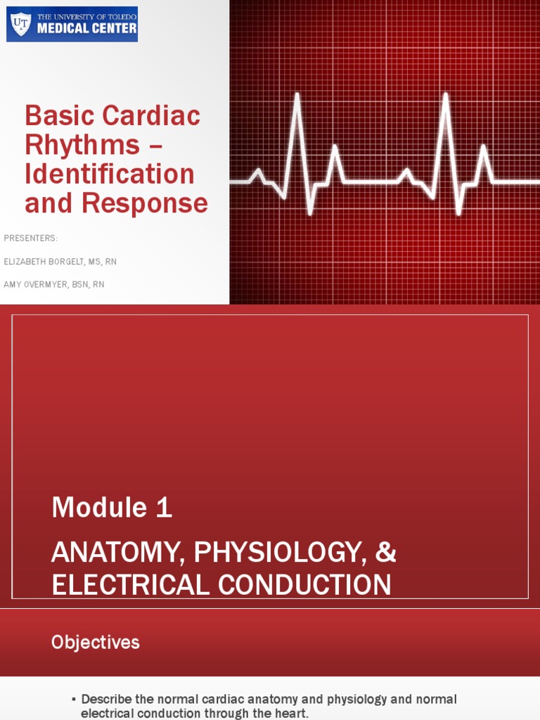 Basic EKG Refresher | PDF | Heart Valve | Cardiac Arrhythmia