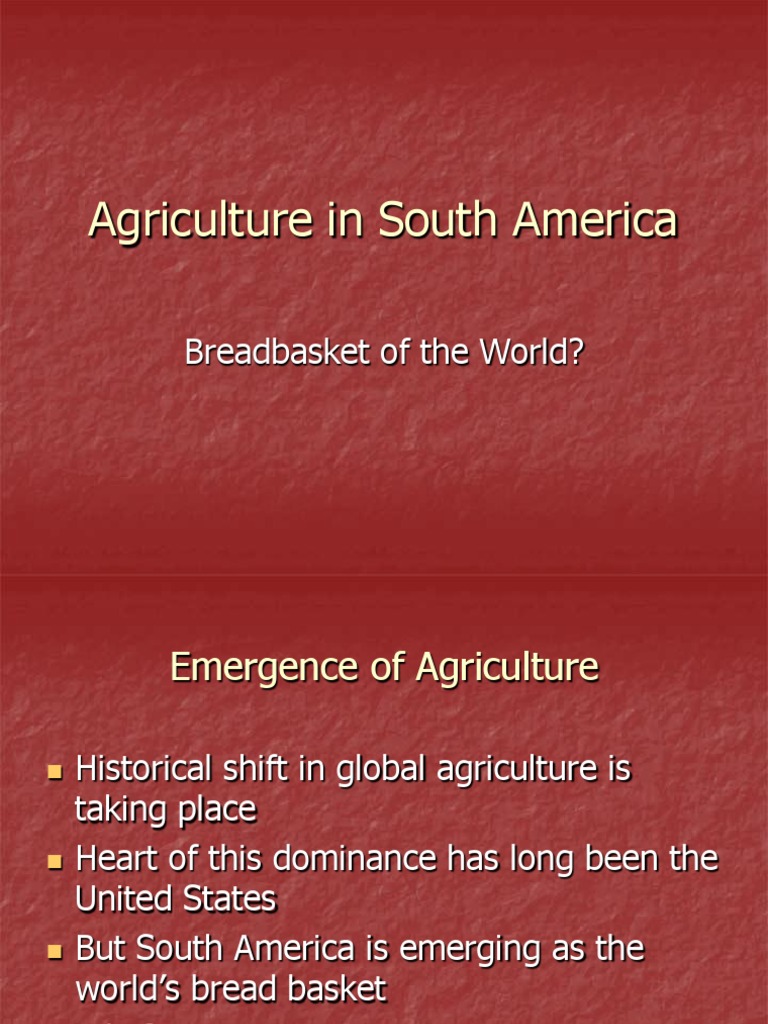 Agriculture in South America: Breadbasket of The World? | PDF ...