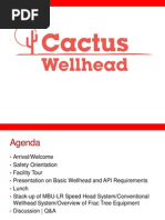 01 Well Head Components | PDF | Casing (Borehole) | Steel