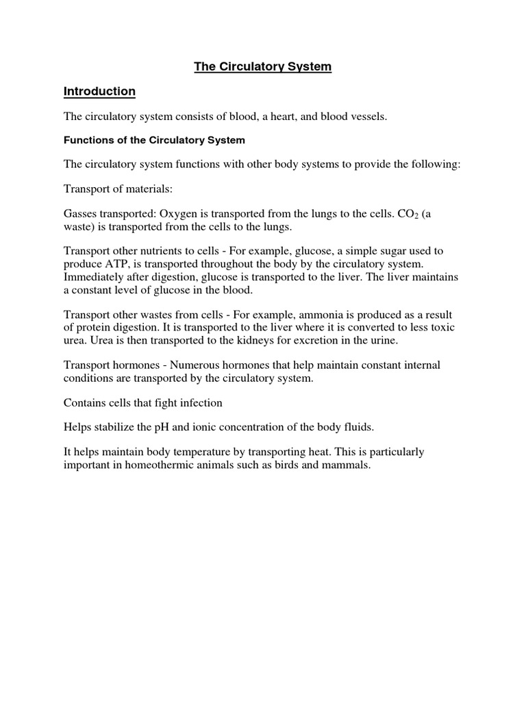 The Circulatory System | PDF | Heart Valve | Ventricle (Heart)