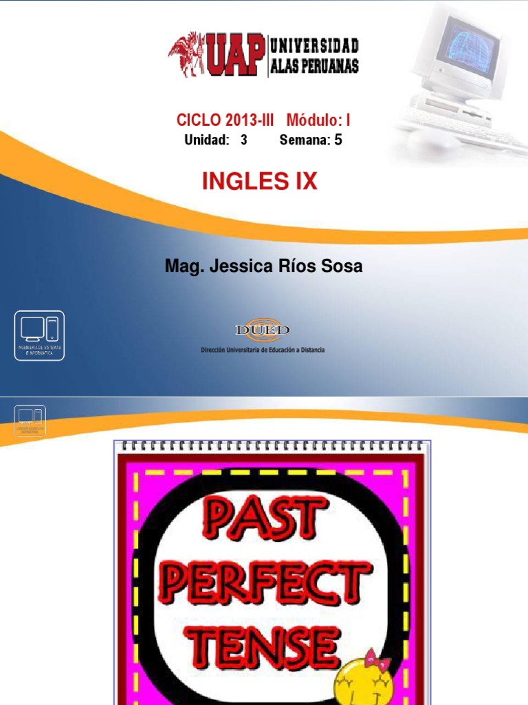Past Perfect Tense Exercises and Examples | PDF | Perfect (Grammar) | Verb