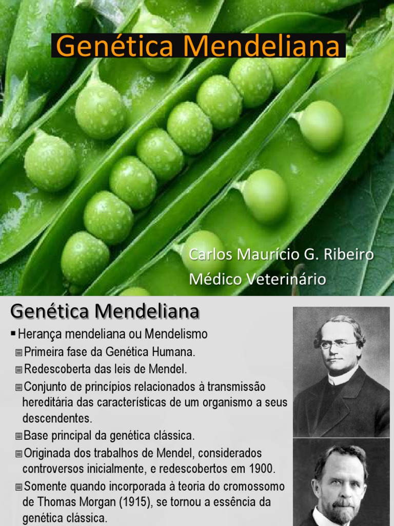 Aula 04 - Genética Mendeliana Slide | PDF | Genética | Biologia