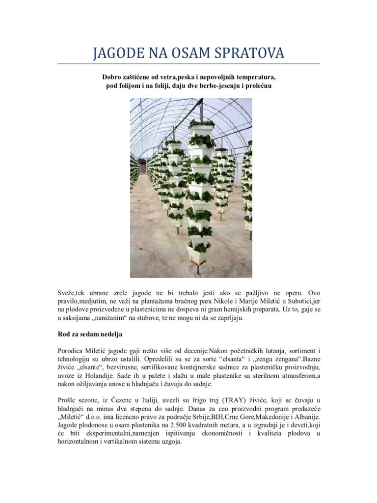 Jagode Na Osam Spratova I Sadnja | PDF