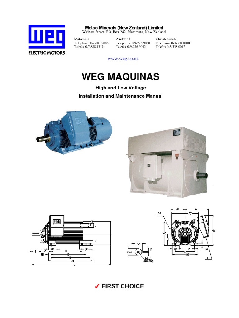 Weg Motor Manual | PDF | Belt (Mechanical) | Gear