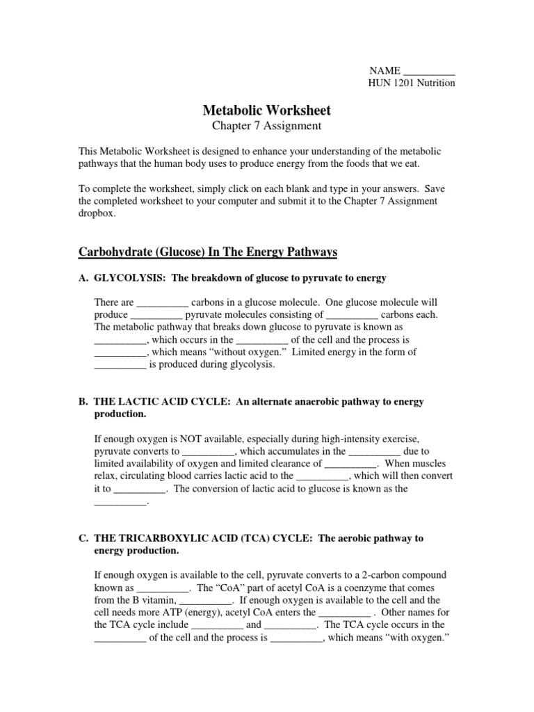 Metabolic Worksheet | Citric Acid Cycle | Diet & Nutrition