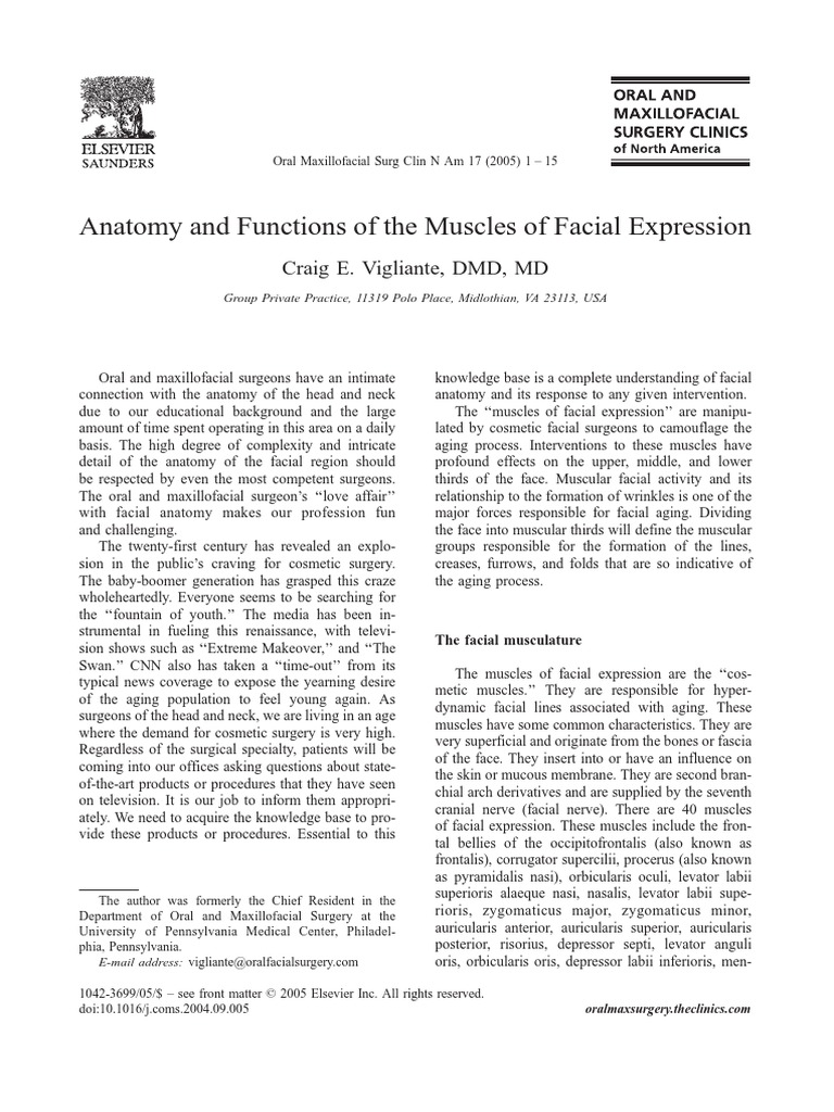 Anatomy and Functions of The Muscles of Facial Expression | PDF | Lip ...