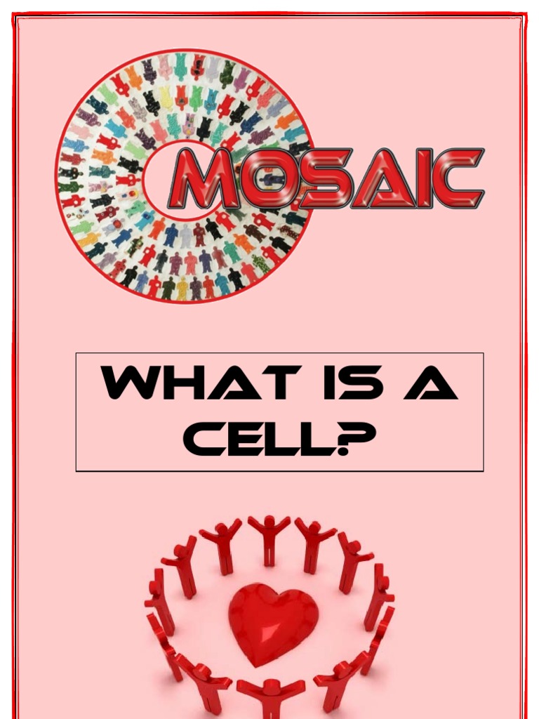 Understanding Church Cell Groups | PDF | Cell (Biology) | Christian Church