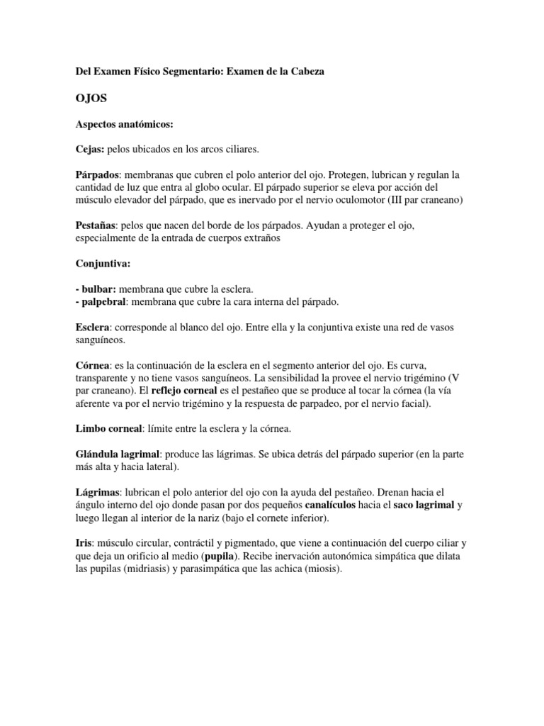 Examen Fisico Segmentario Enfermeria Ejemplo Deals | innoem.eng.psu.ac.th