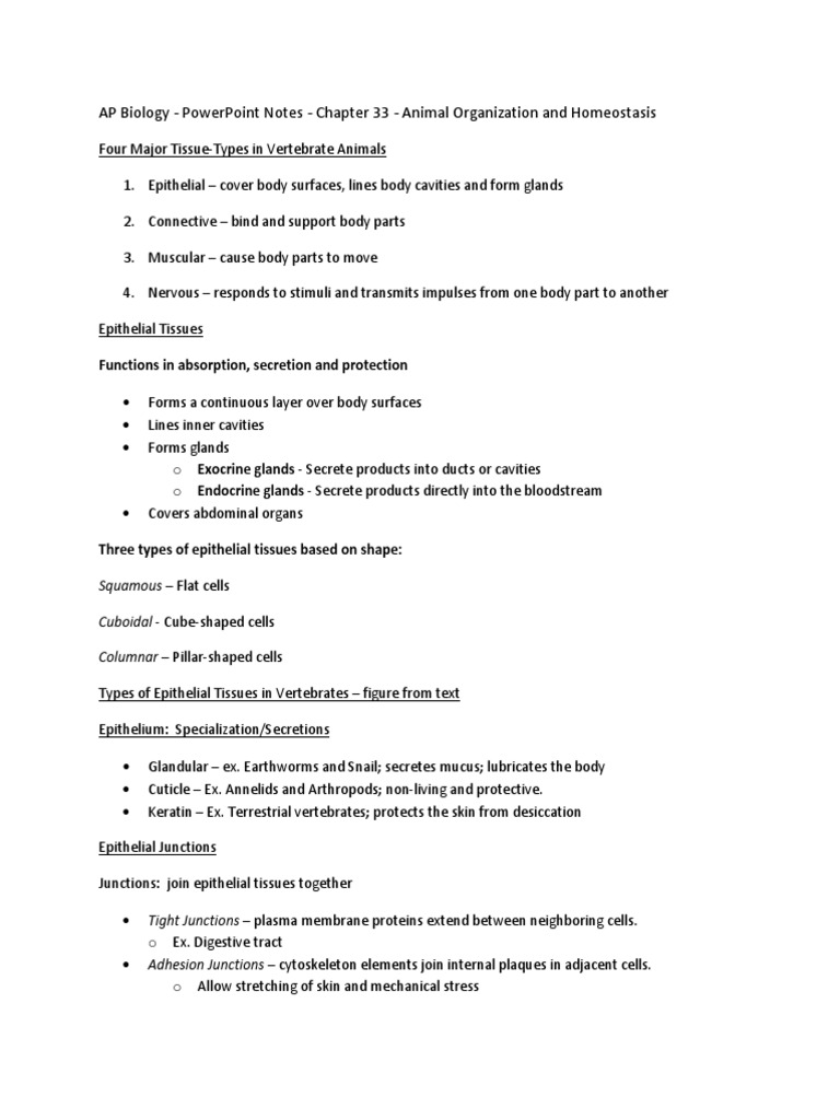 Animal Tissue Types and Homeostasis | PDF | Epithelium | Homeostasis