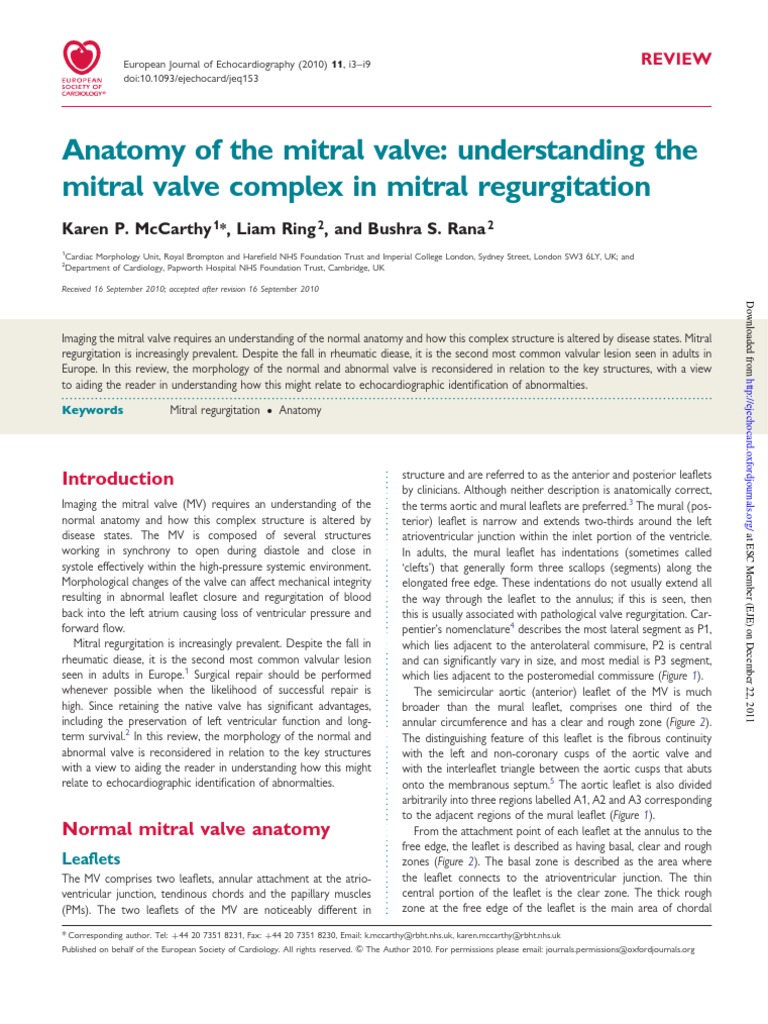 Anatomy of The Mitral Valve Understanding The Mitral Valve Complex in ...