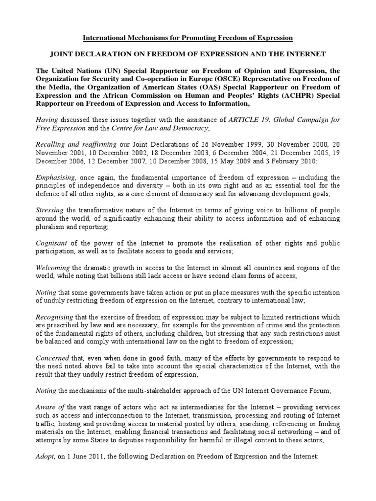 Promoting Freedom of Expression | PDF | Freedom Of Speech | Internet
