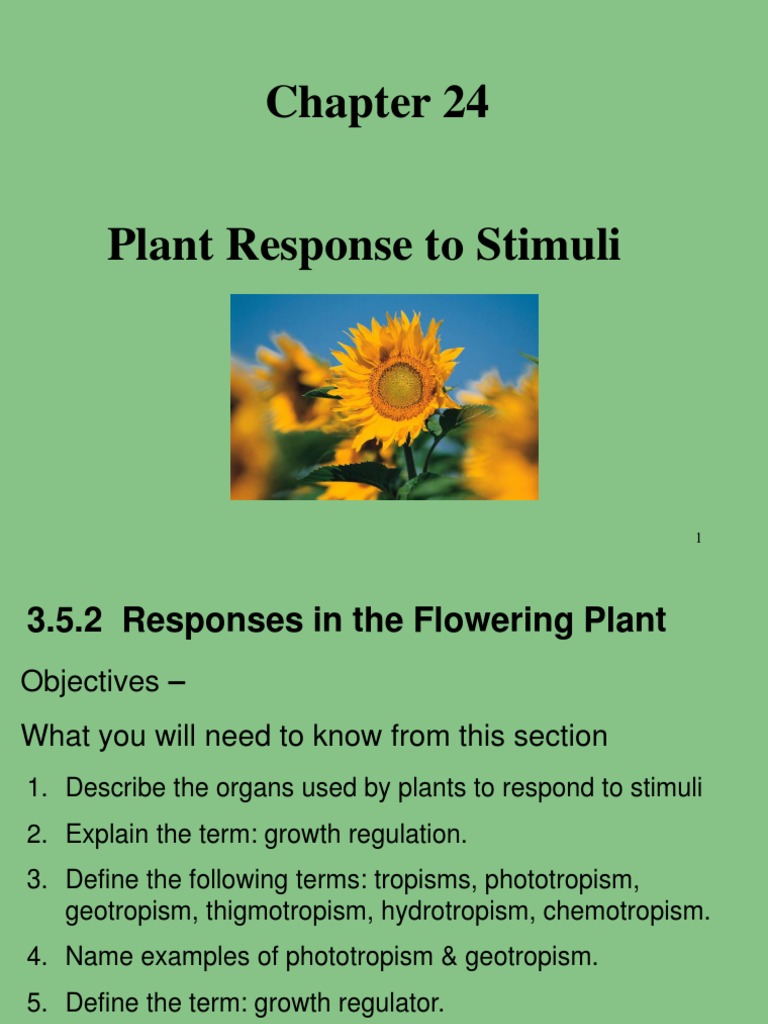 Plant Response To Stimuli | PDF | Auxin | Plant Hormone