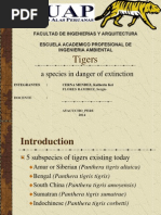 Sean Lock: The Tiger Who Came For A Pint | PDF