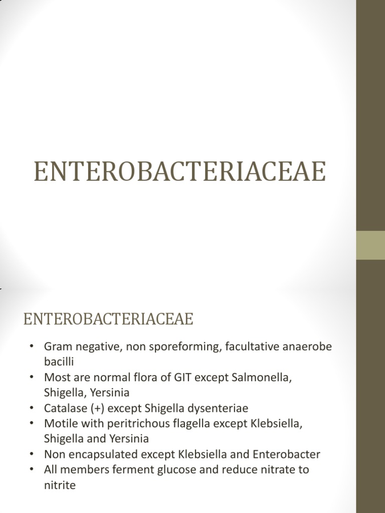 ENTEROBACTERIACEAE | PDF | Escherichia Coli | Salmonella