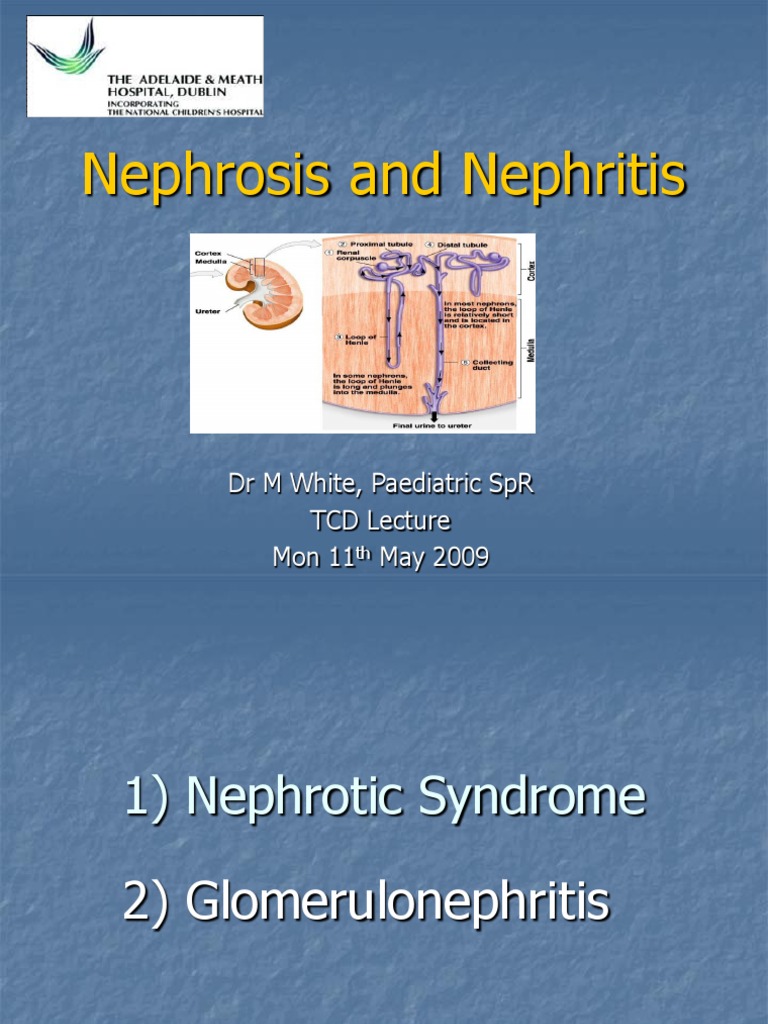 Nephritis Nephrosis | PDF | Internal Medicine | Immunology