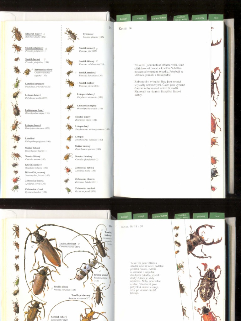 Atlas Hmyzu | PDF