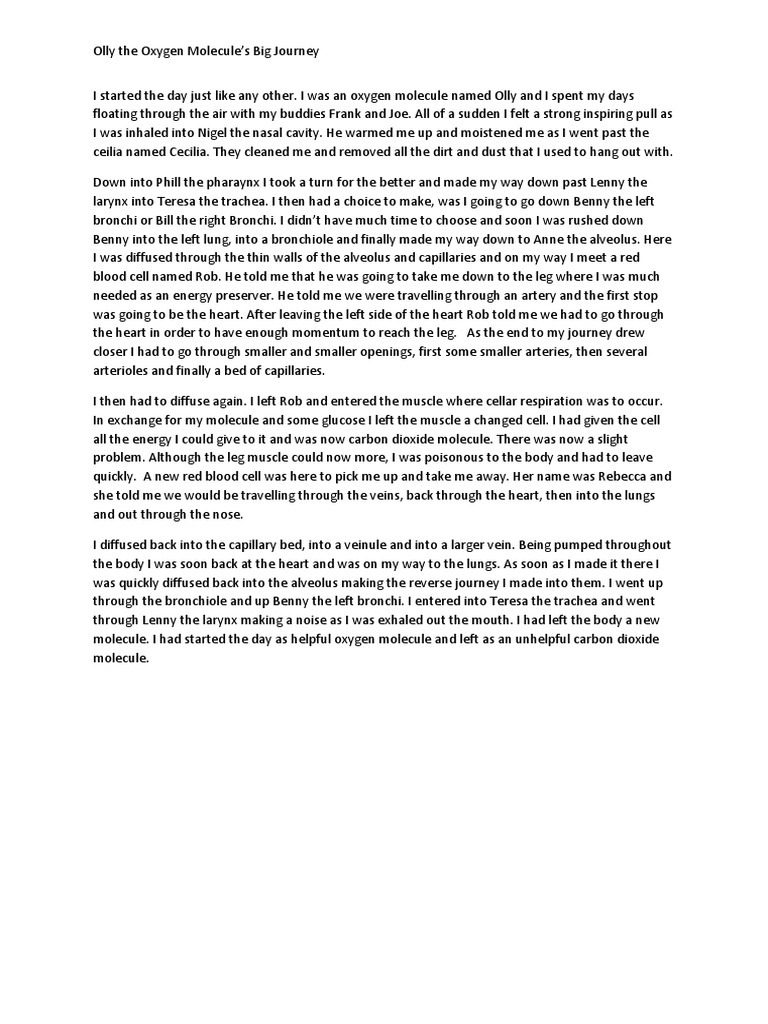 Olly The Oxygen Molecule | PDF | Lung | Artery