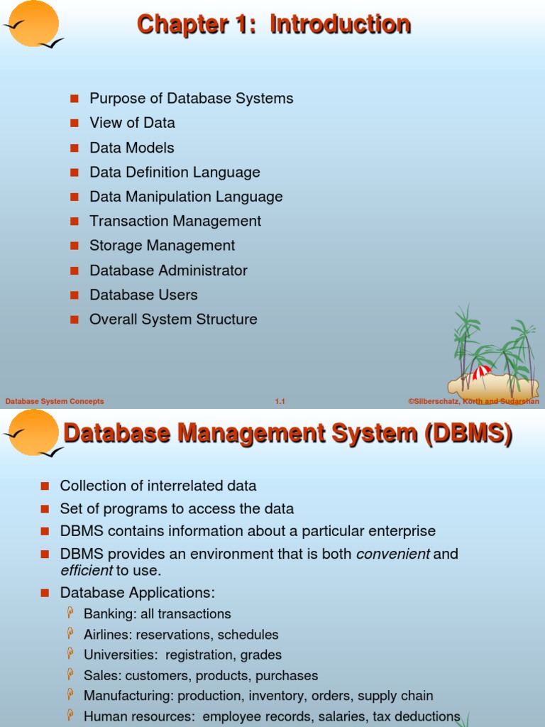 Chapter 1: Introduction: ©silberschatz, Korth and Sudarshan 1.1 Database System Concepts | PDF ...