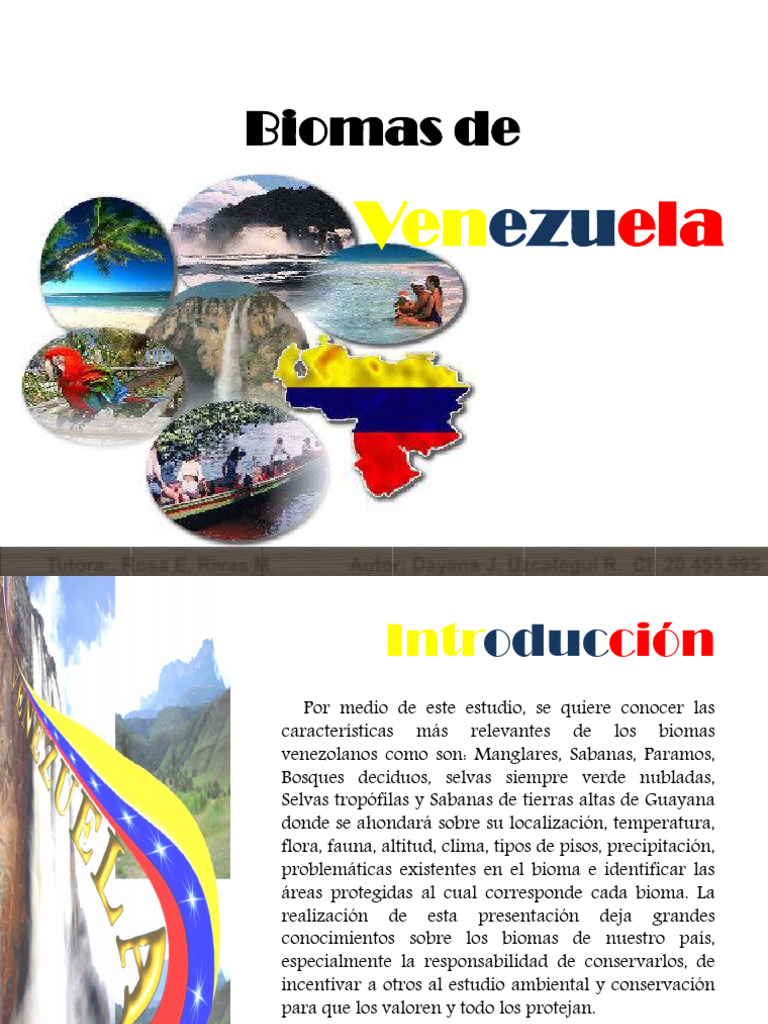 Biomas de Venezuela 1 | PDF | Mangle | Ecología