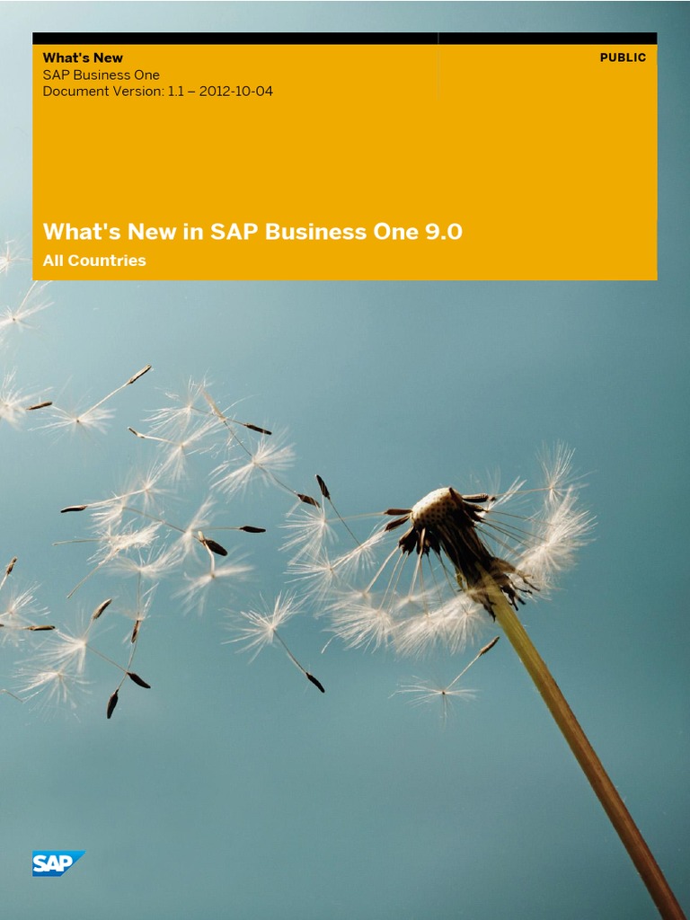 Sap b1 Ver 9 Whats - New - en | PDF