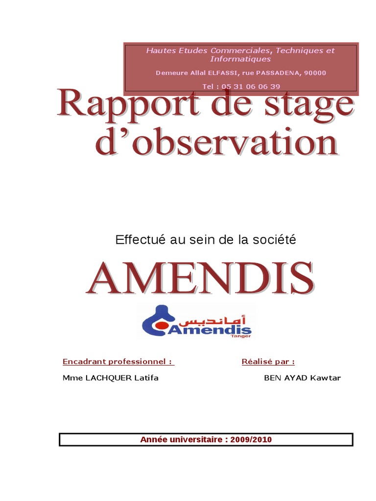 Rapport Amendis | PDF | Ressources humaines | Union européenne