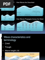 Coastal Geomorphology Notes | PDF | Coral Reef | Shoal