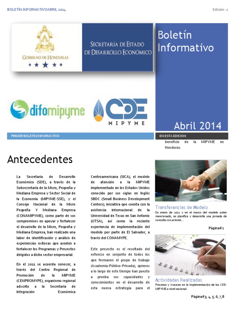 Boletin Informativo | PDF | Pequeñas y medianas empresas | Economias