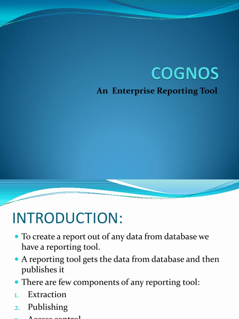 An Enterprise Reporting Tool | PDF | Ibm | Business Intelligence
