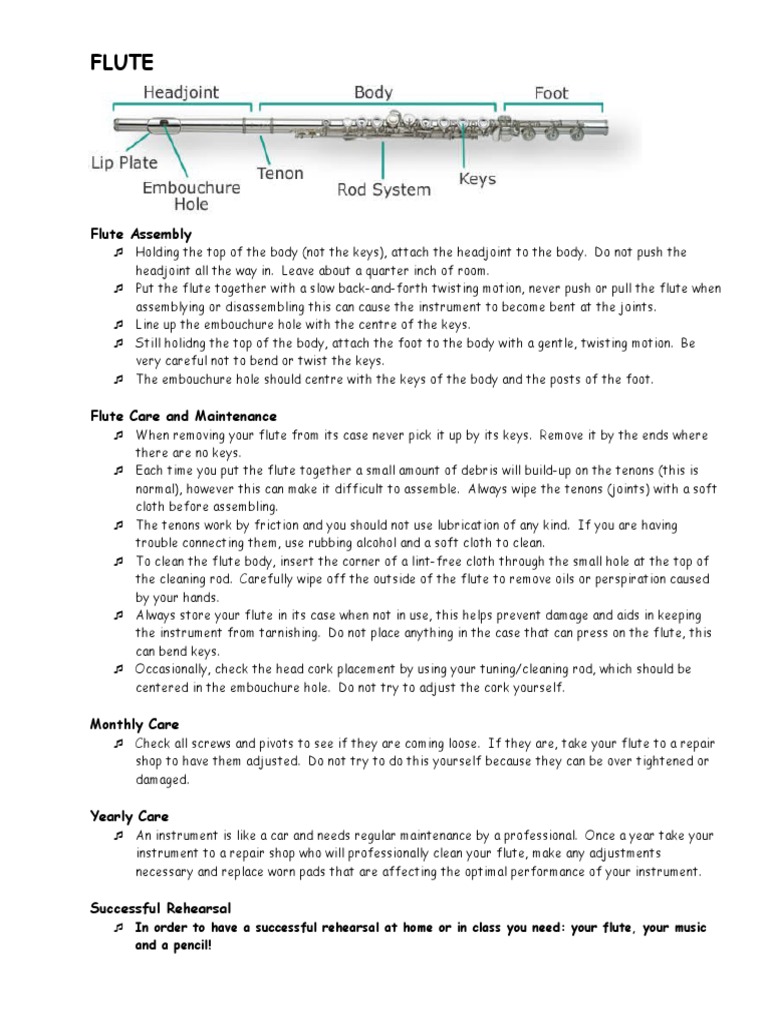 Flute Basics | PDF | Nature