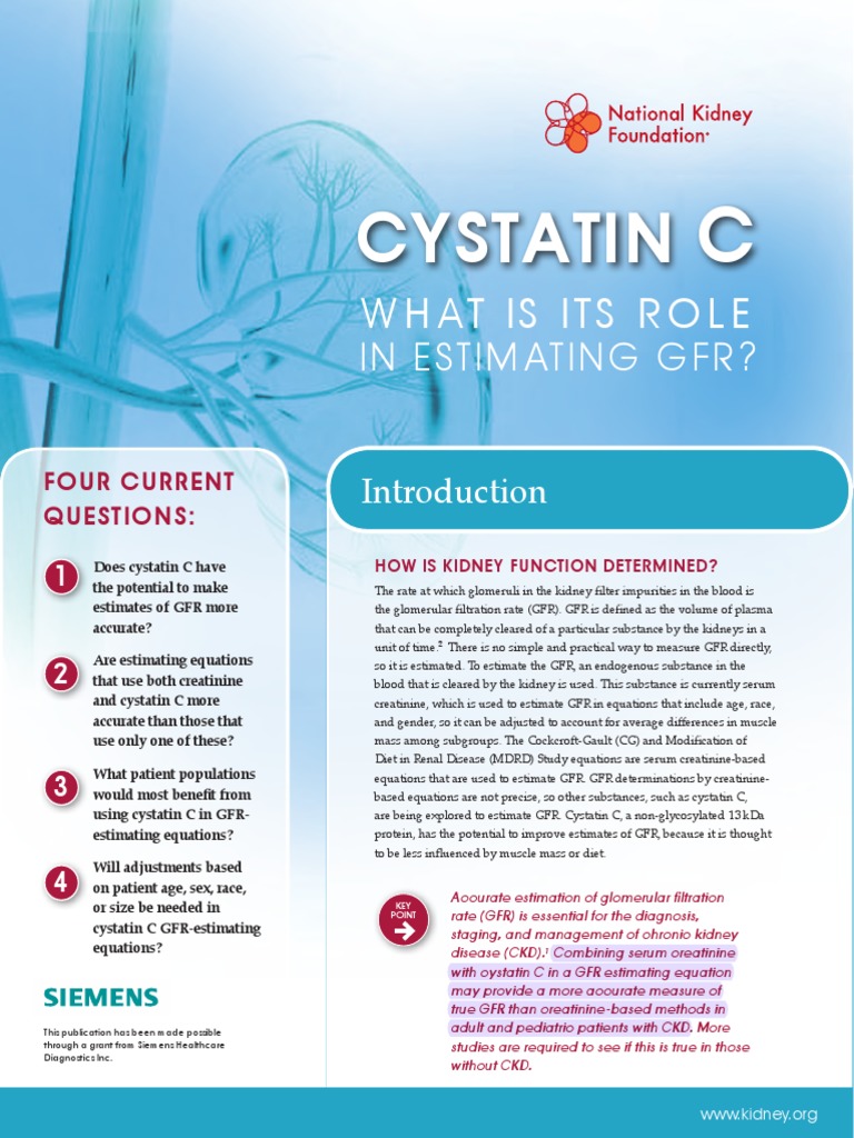 Cystatin: What Is Its Role | PDF | Renal Function | Chronic Kidney Disease