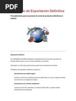 Manifiesto Maritimo Electronico Aduana | PDF | Servidor web | Internet y web