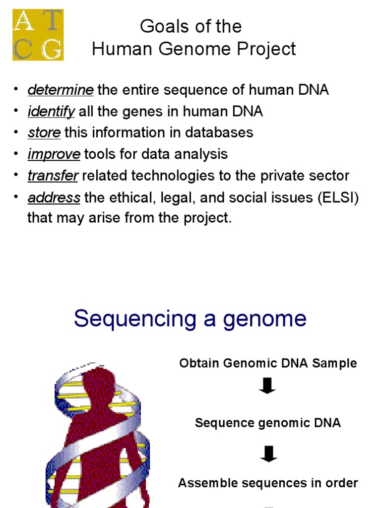 Lecture 12 Human Genome Project | PDF | Dna Sequencing | Genome