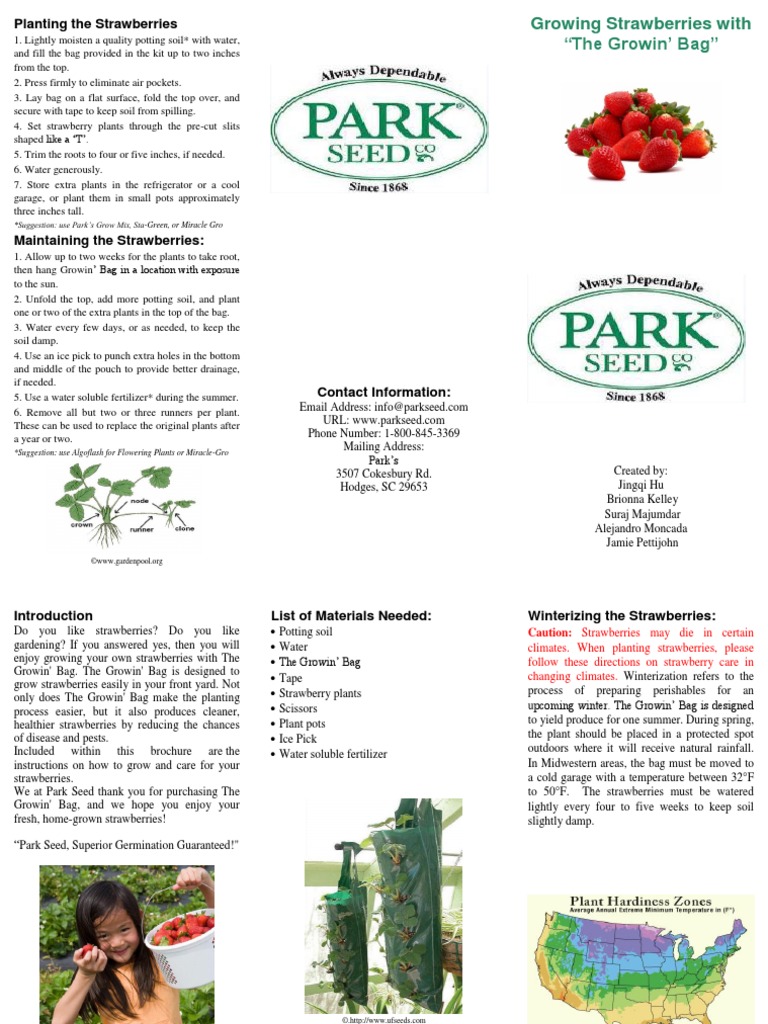 Final Brochure | PDF