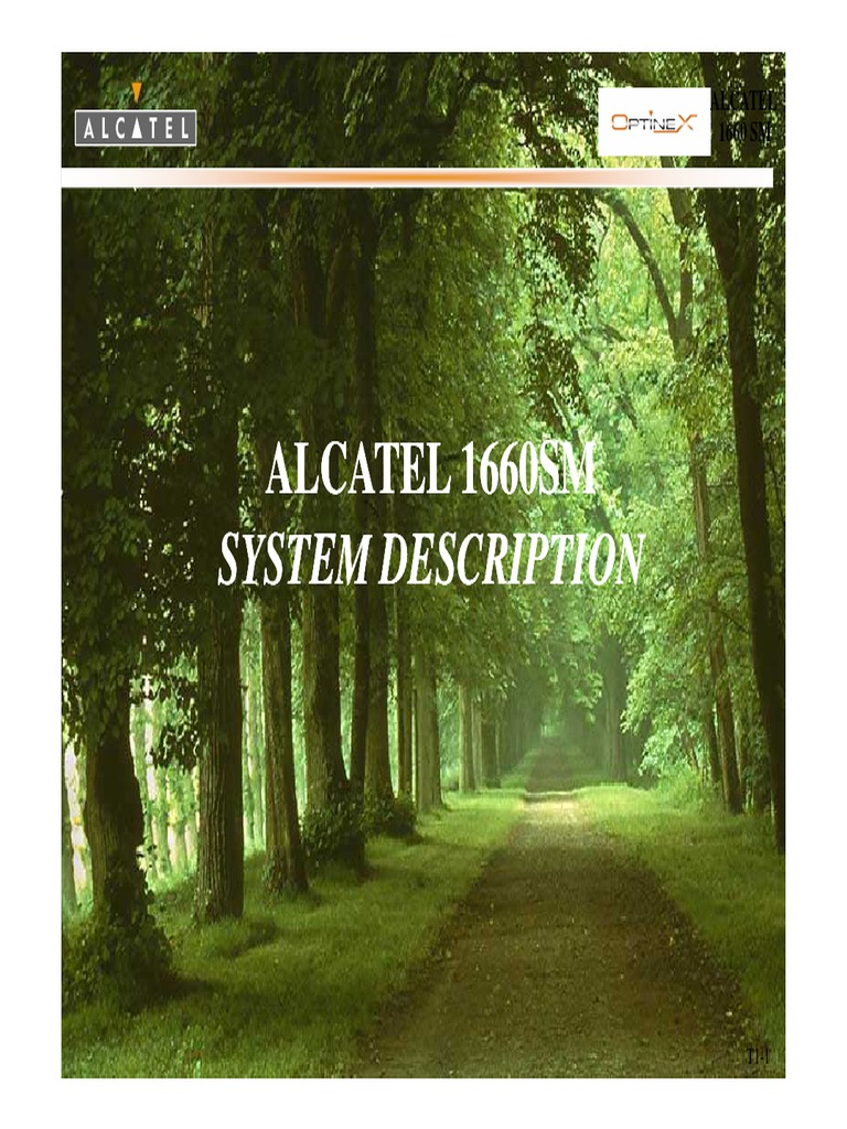 03 Alcate 1660SM Sys Des | PDF | Network Topology | Computer Network