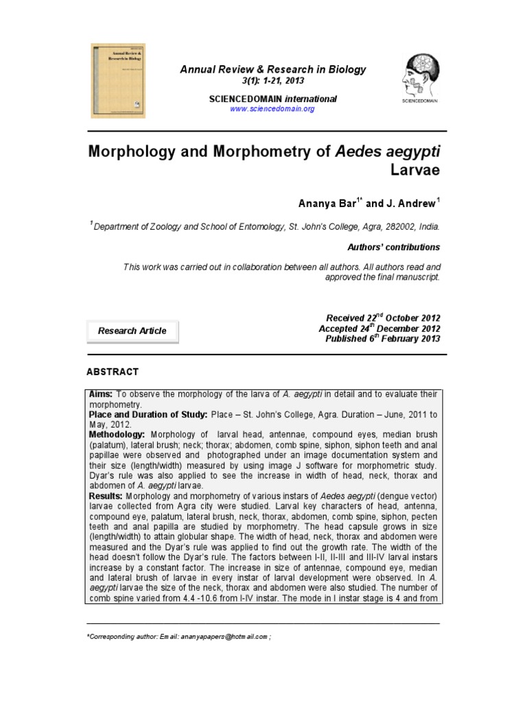 Morphology Aedes SP English Journal | PDF | Anatomical Terms Of ...