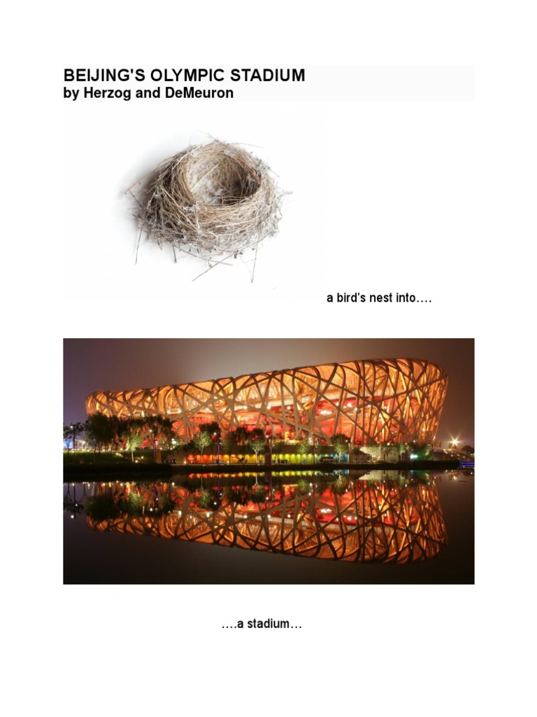 Design Concept - Bird's Nest | PDF | Sports | Nature